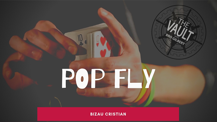 The Vault - Pop Fly by Bizau Cristian video DOWNLOAD – Browser's Den of ...