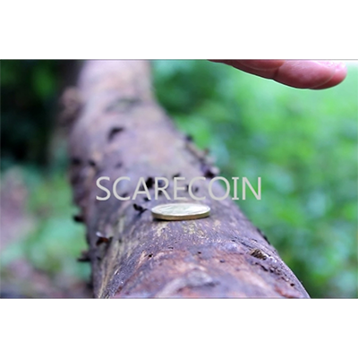 Scare Coin by Arnel Renegado - Video DOWNLOAD – Browser's Den of Magic